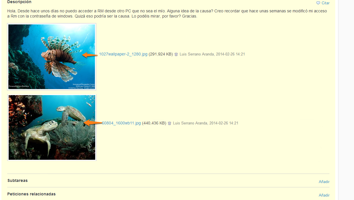 Example better multi attach.png - Redmine